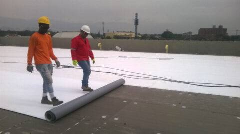 Todo lo que debes saber sobre el TPO