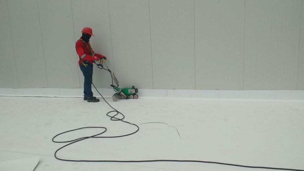 Todo lo que debes saber sobre el TPO